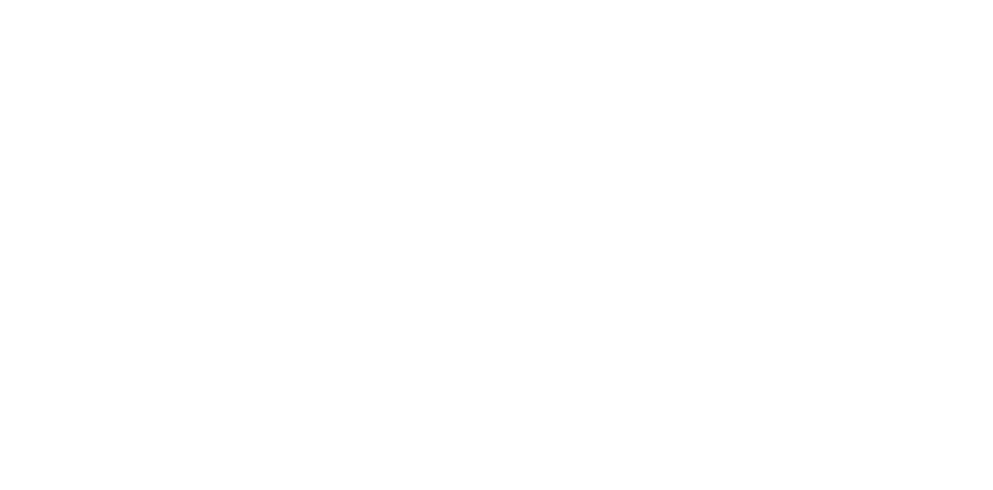 White logo – no background – Trading with Diana